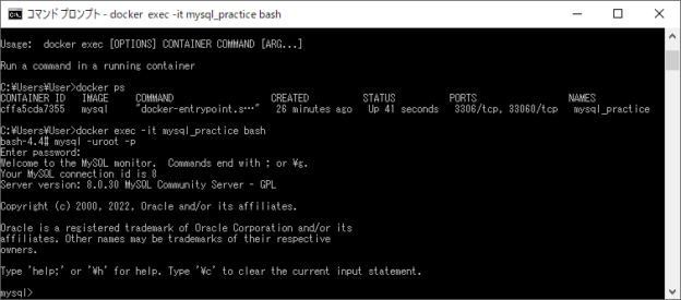 3.【Windows10】DockerコンテナでMySQLサーバーを使う方法
